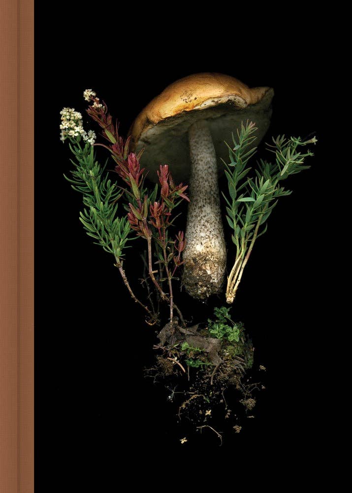 Chronicle Books - Deep Dark Forest Mushroom Journal | Nigella